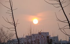 정기우의 본체 마지막 태양과 마야족의 2012 종말설 근거 | 네이트 판