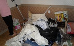 날덮친....너ㅠㅠㅠㅠ(사진있음) | 네이트 판