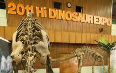 2011년 Hi Dino 공룡 엑스포 대구전 ' | 네이트 판