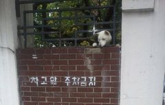 이루어질 수 없는 사랑.. | 네이트 판