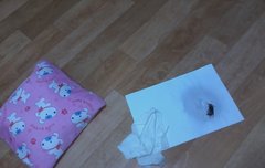 (사진有혐오)우리집에 손가락 만한 벌이!!!!☆★☆★☆★ | 네이트 판