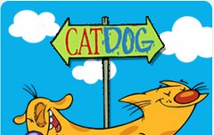 사진 有))☆★☆★☆★캣독아시는분!!!!!!!!!!!!!!!!!!!!!☆★☆★☆★ | 네이트 판