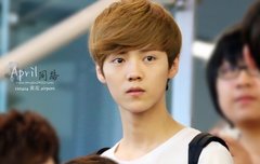 역시 엑소엠은 LUHAN이 인기가 많네~ | 네이트 판