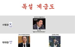 오디션심사위원들의 독설계급도!! | 네이트 판