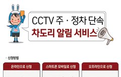 주정차 단속 알림! 차도리 레알톡 | 네이트 판