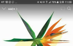 야 앞으로 타팬머글 | 네이트 판