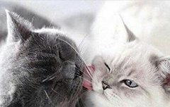 난 남자안좋아하는 여자사겨야지 | 네이트 판