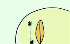 ㅇㅍㅅ 사해님 나랑 약속함 | 네이트 판