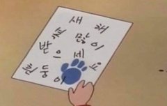 지금 개 신난 03 나뿐이냐 | 네이트 판