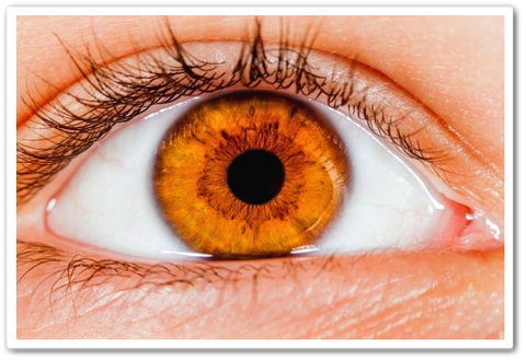 [teen stories] WHICH EYE COLOR DO YOU LIKE THE MOST? ~ pann좋아!